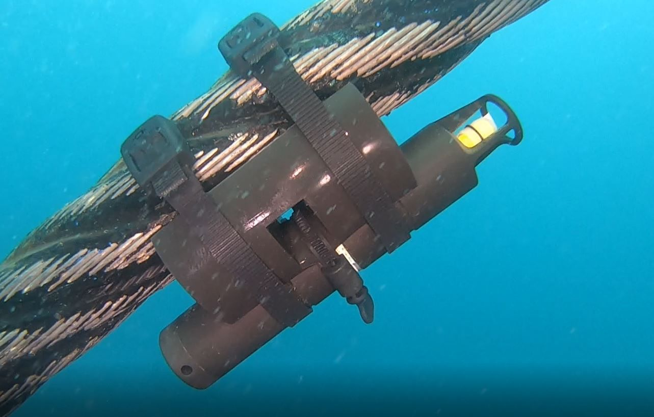 Marine Hose Clamps: Corrosion-Resistant Solutions for Saltwater – HCL ...